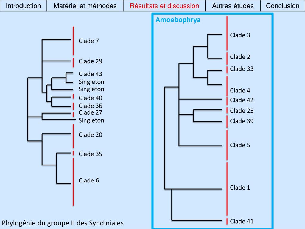 PPT - Abondance et diversité génétique des parasitoïdes marins ...