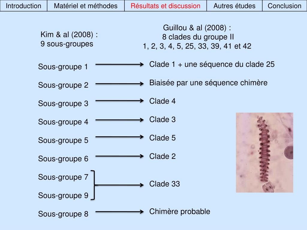 PPT - Abondance et diversité génétique des parasitoïdes marins ...