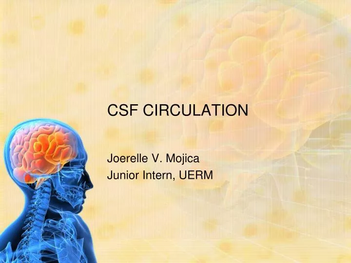 PPT - CSF CIRCULATION PowerPoint Presentation, free download - ID:2427537