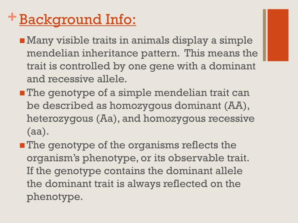 PPT - Color Genetics of the Corn Ear Moth Larvae PowerPoint ...