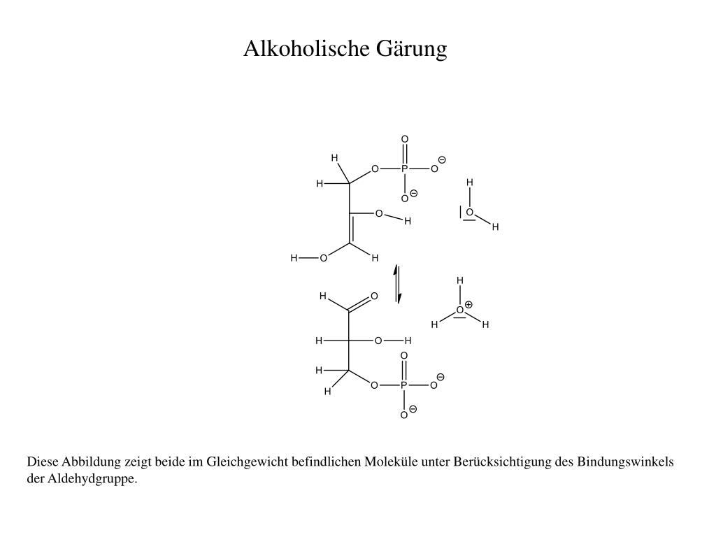 PPT - Alkoholische Gärung PowerPoint Presentation, free download - ID ...
