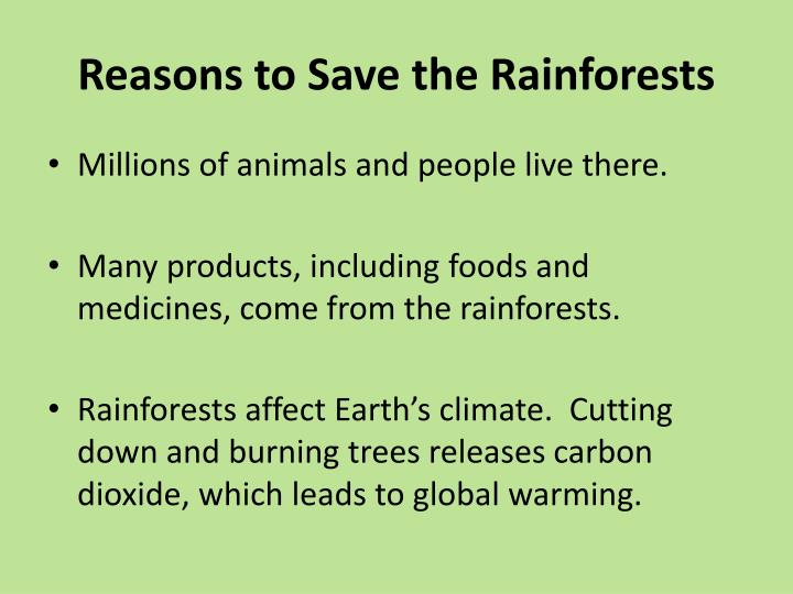 PPT - Rainforests PowerPoint Presentation - ID:2429150