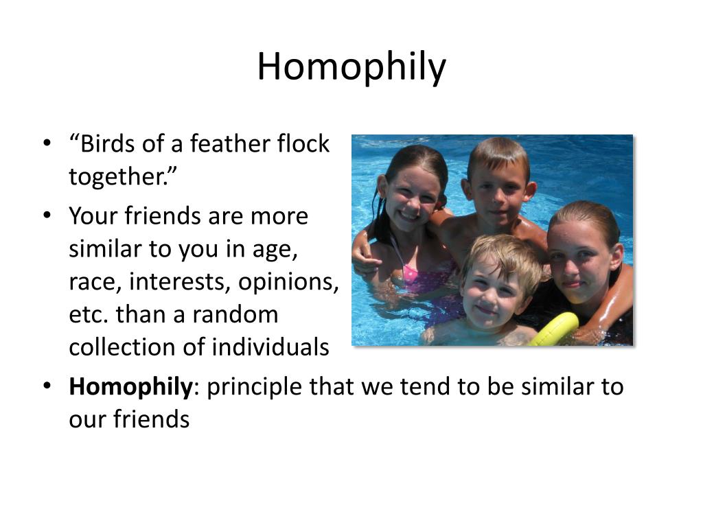 PPT - Homophily , Social Influence, & Affiliation PowerPoint ...
