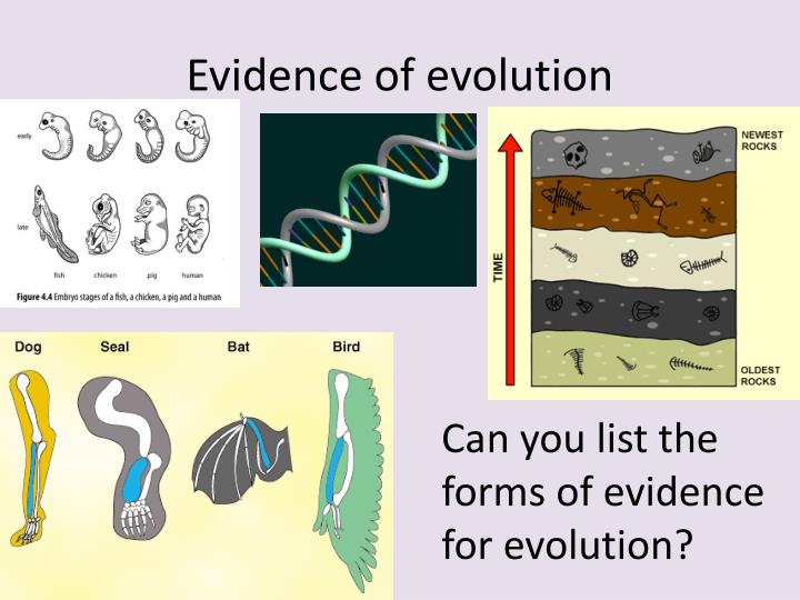 PPT - Human organ systems PowerPoint Presentation - ID:2429978