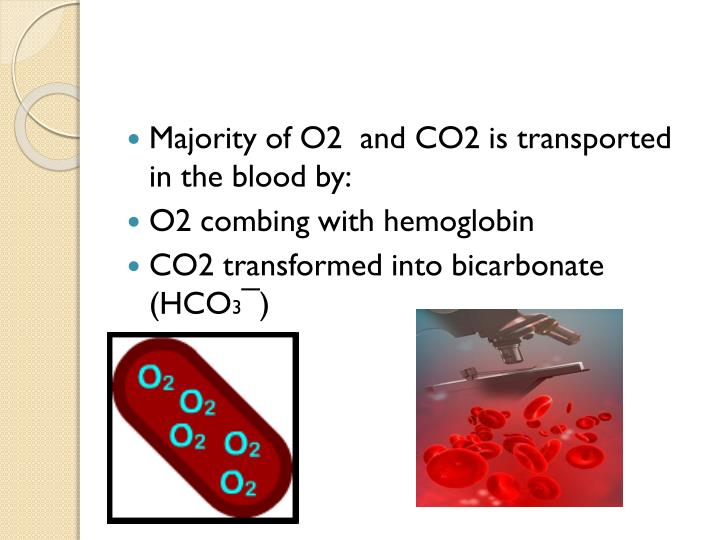 PPT - Oxygen and Carbon Dioxide transport in the blood PowerPoint ...
