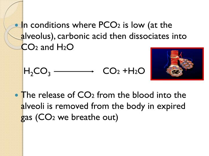 PPT - Oxygen and Carbon Dioxide transport in the blood PowerPoint ...
