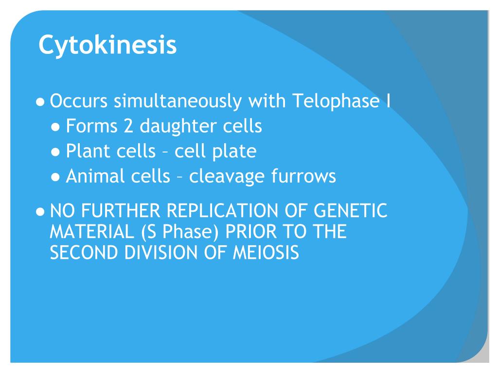 Ppt The Other Cell Division Making Sex Cells Powerpoint Presentation
