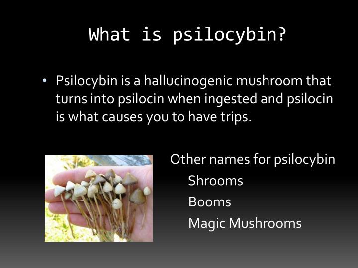 PPT - Psilocybin PowerPoint Presentation - ID:2430570