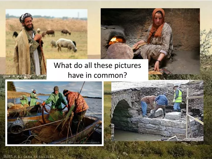 PPT - What do all these pictures have in common? PowerPoint ...