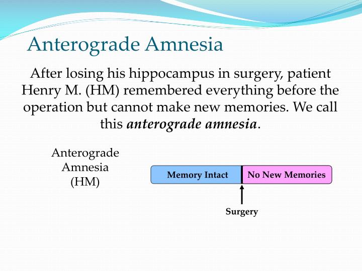 PPT - Limbic System PowerPoint Presentation - ID:2431575