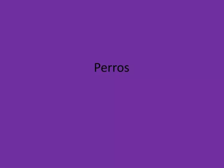 PPT - Perros PowerPoint Presentation, free download - ID:2431668