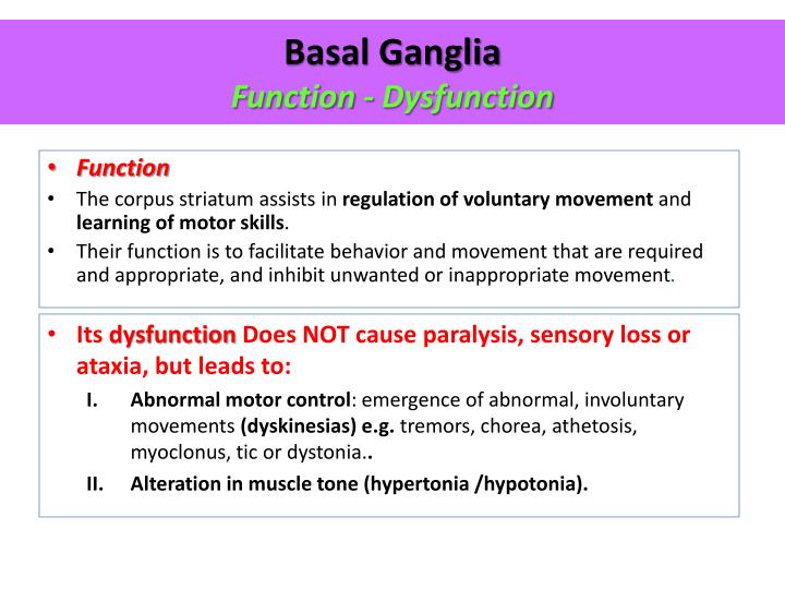 PPT - BASAL GANGLIA PowerPoint Presentation - ID:2432087
