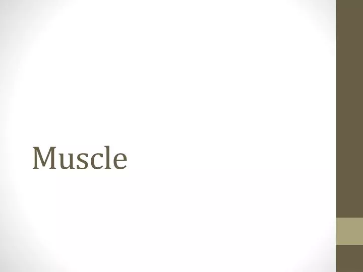 PPT - Muscle PowerPoint Presentation, free download - ID:2432139