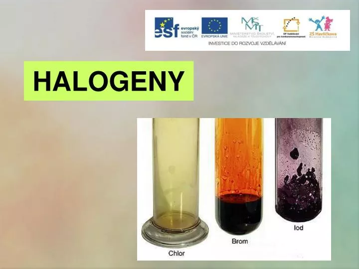 PPT - HALOGENY PowerPoint Presentation, free download - ID:2432198