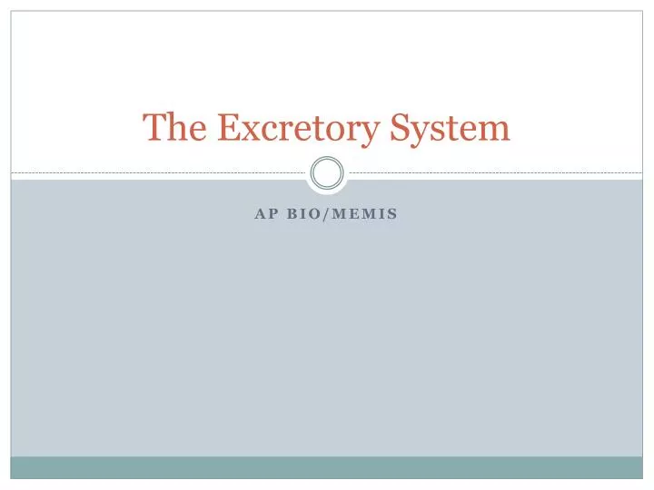 PPT - The Excretory System PowerPoint Presentation, free download - ID ...