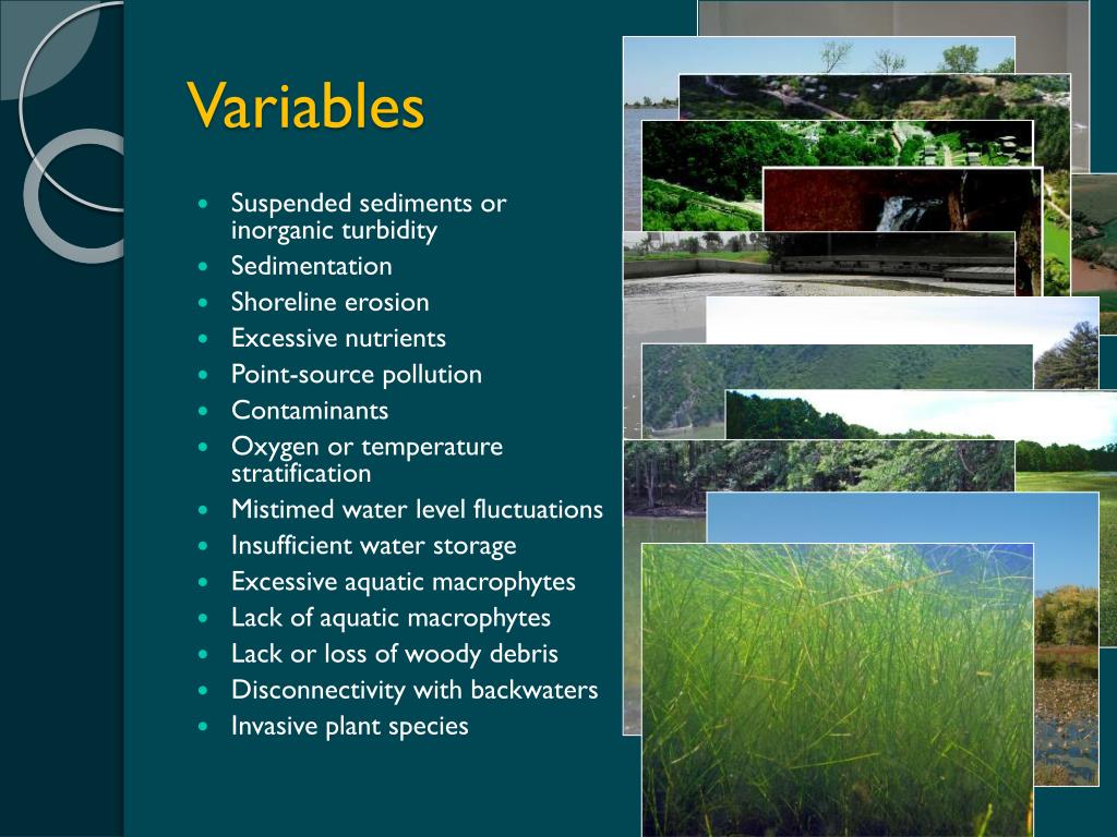 PPT - Fish habitat degradation in U.S. reservoirs PowerPoint ...