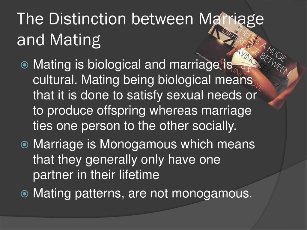 PPT - Chapter 7 – Sex and Marriage (Control of Sexual Relations ...