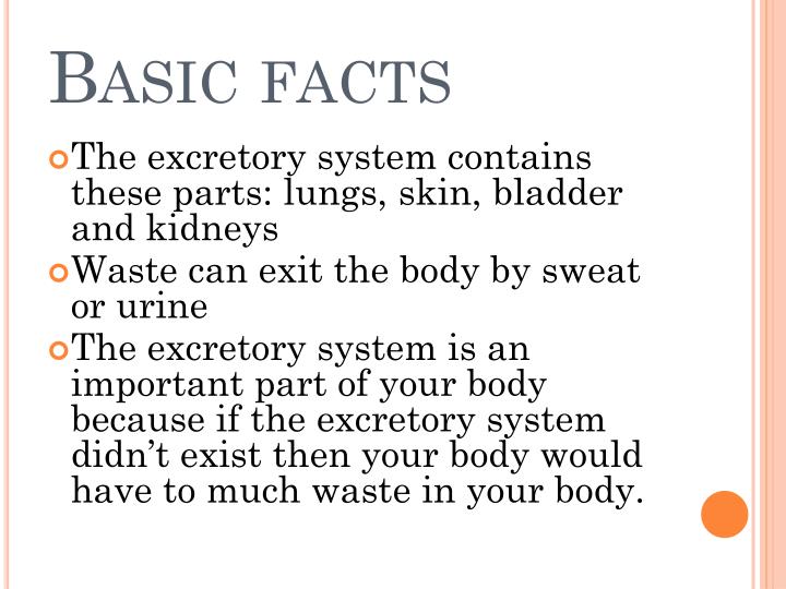 PPT - Excretory system simile and basic facts PowerPoint Presentation ...