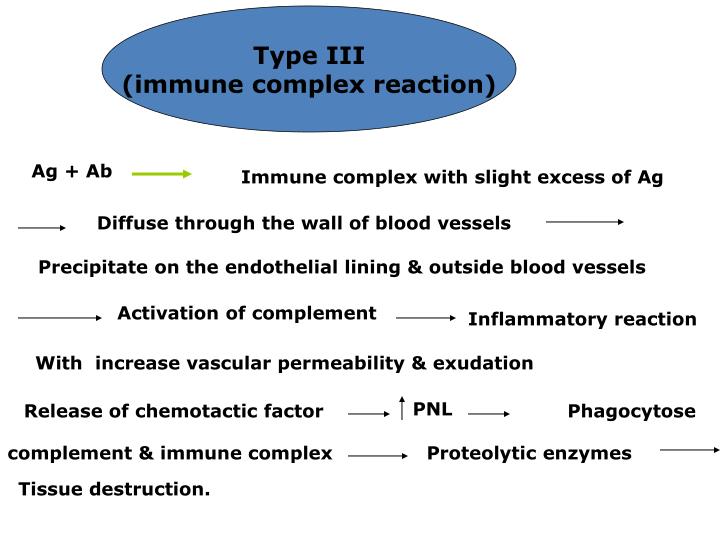 PPT - IMMUNITY PowerPoint Presentation - ID:2432676