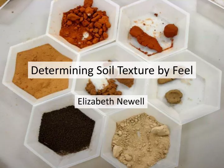 PPT - Determining Soil Texture by Feel PowerPoint Presentation, free ...
