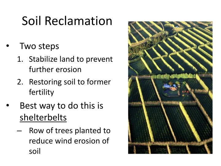 PPT - Soils: Chemistry and Problems PowerPoint Presentation - ID:2432782
