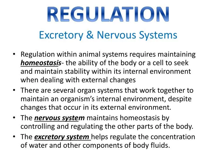 PPT - REGULATION Excretory & Nervous Systems PowerPoint Presentation ...