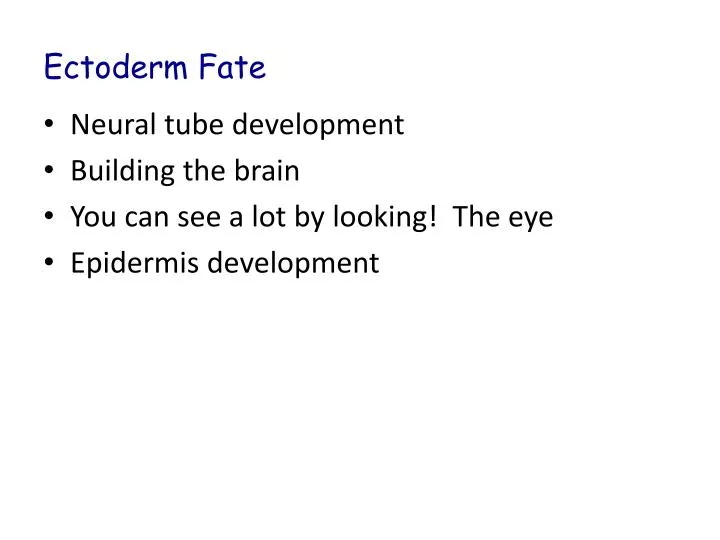 PPT - Ectoderm Fate PowerPoint Presentation, free download - ID:2433118 PPT - Ectoderm Fate PowerPoint Presentation, free download - ID:2433118
