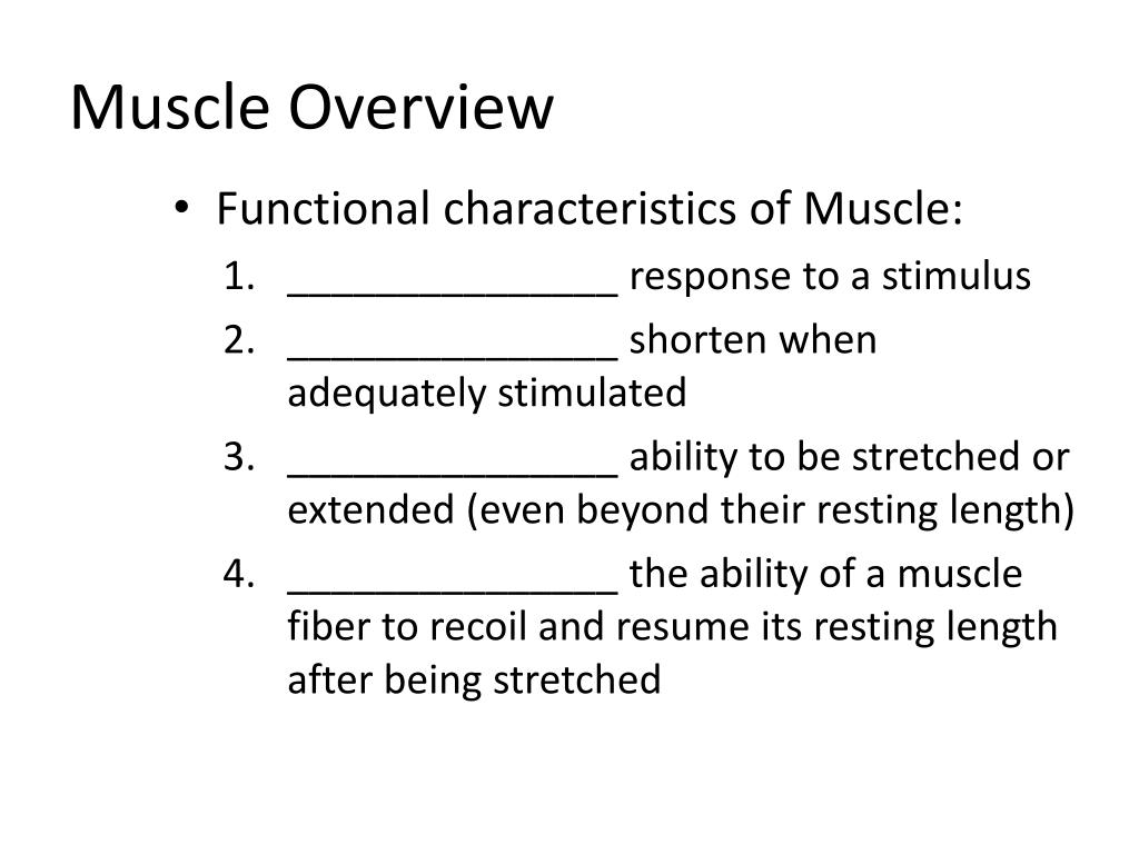 PPT - Muscular System (Chapters 9 and 10) PowerPoint Presentation, free ...