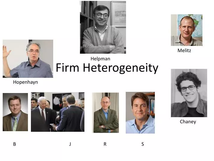 PPT - Firm Heterogeneity PowerPoint Presentation, free download - ID ...
