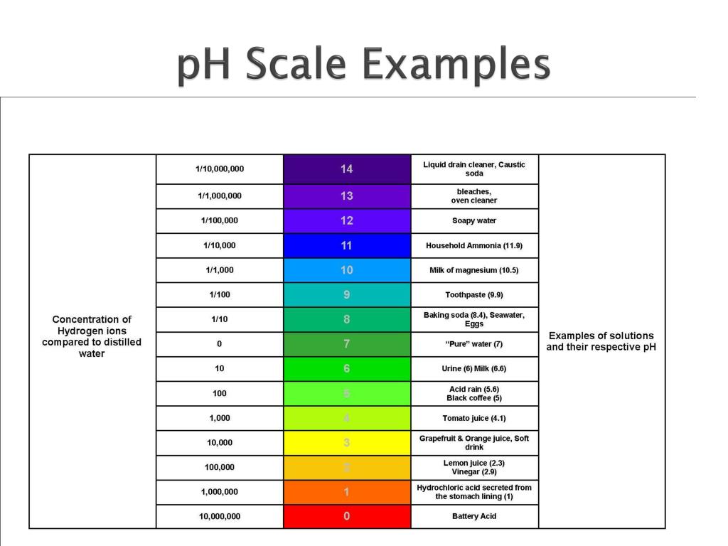 PPT - Enzymes and Chemical Reactions Honors Biology PowerPoint ...