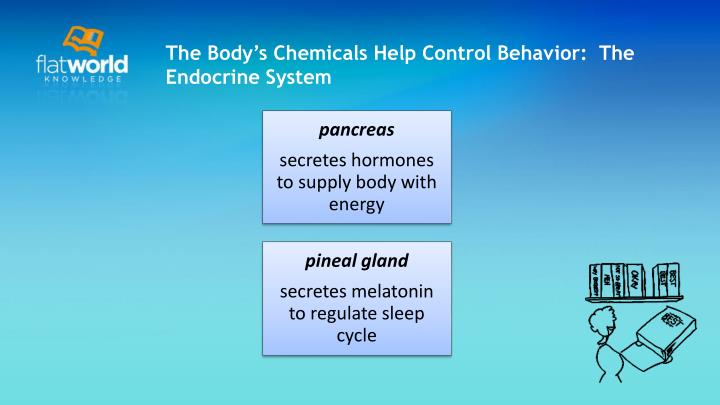PPT - Brains, Bodies, and Behavior PowerPoint Presentation - ID:2434018