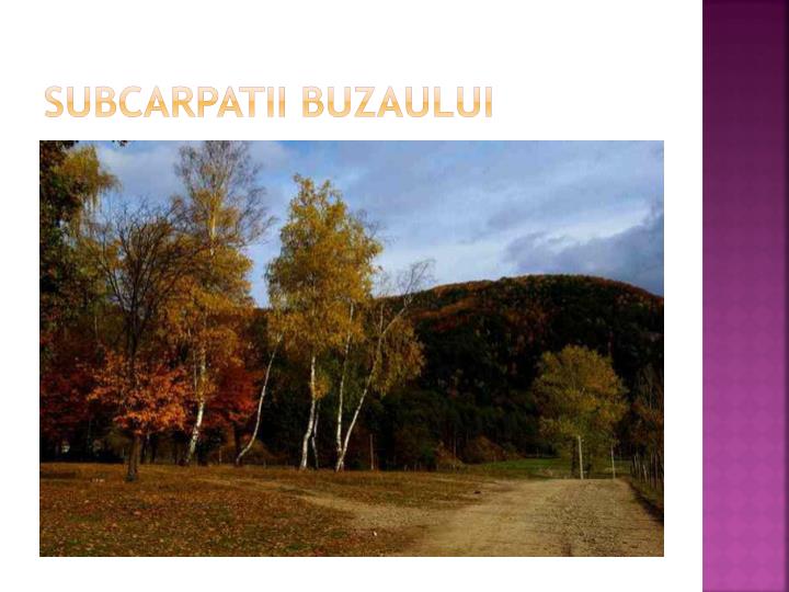 PPT - Relieful Romaniei PowerPoint Presentation - ID:2434092