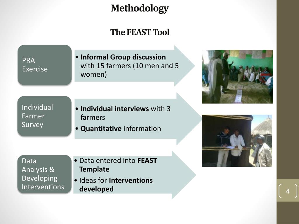 PPT - Enhancing Livestock Productivity through Improved Feeding in Menz ...