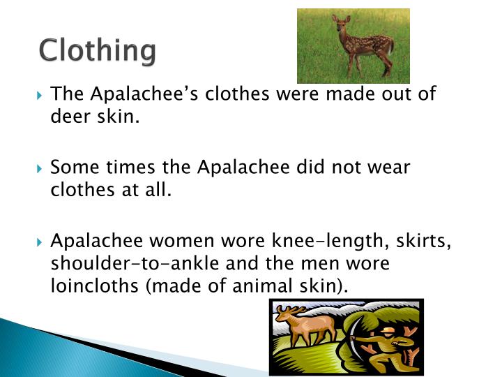 PPT - Apalachee PowerPoint Presentation - ID:2434503