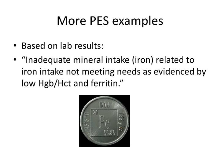 PPT - PES statements PowerPoint Presentation - ID:2434719