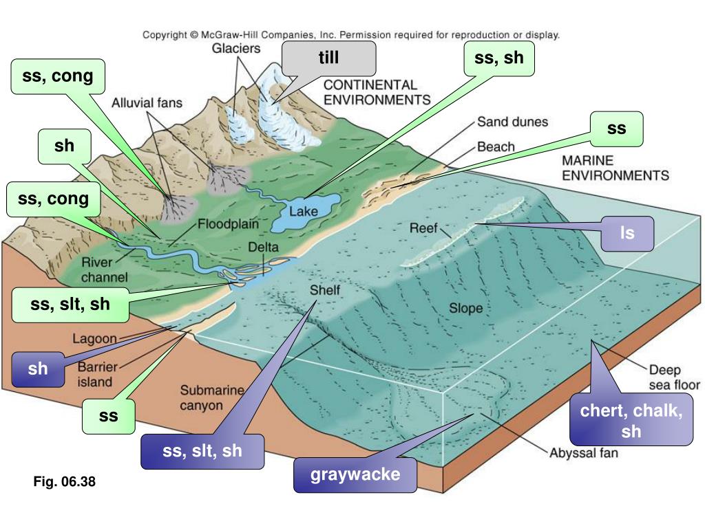 PPT - Sedimentary Rocks Clastic / Physical / Detrital Chemical ...