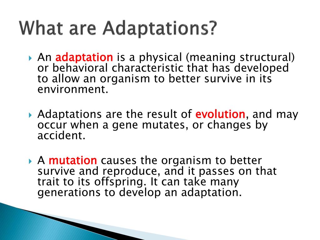 Ppt Adaptations Powerpoint Presentation Free Download Id 2435096