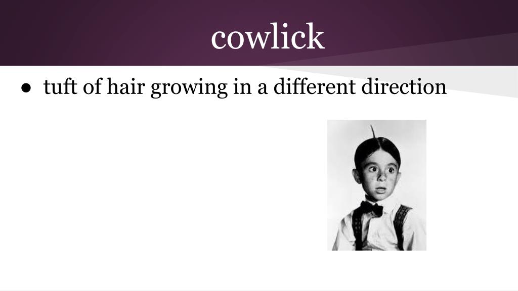 PPT - The Outsiders Ch.1-2 Vocabulary PowerPoint Presentation, free ...