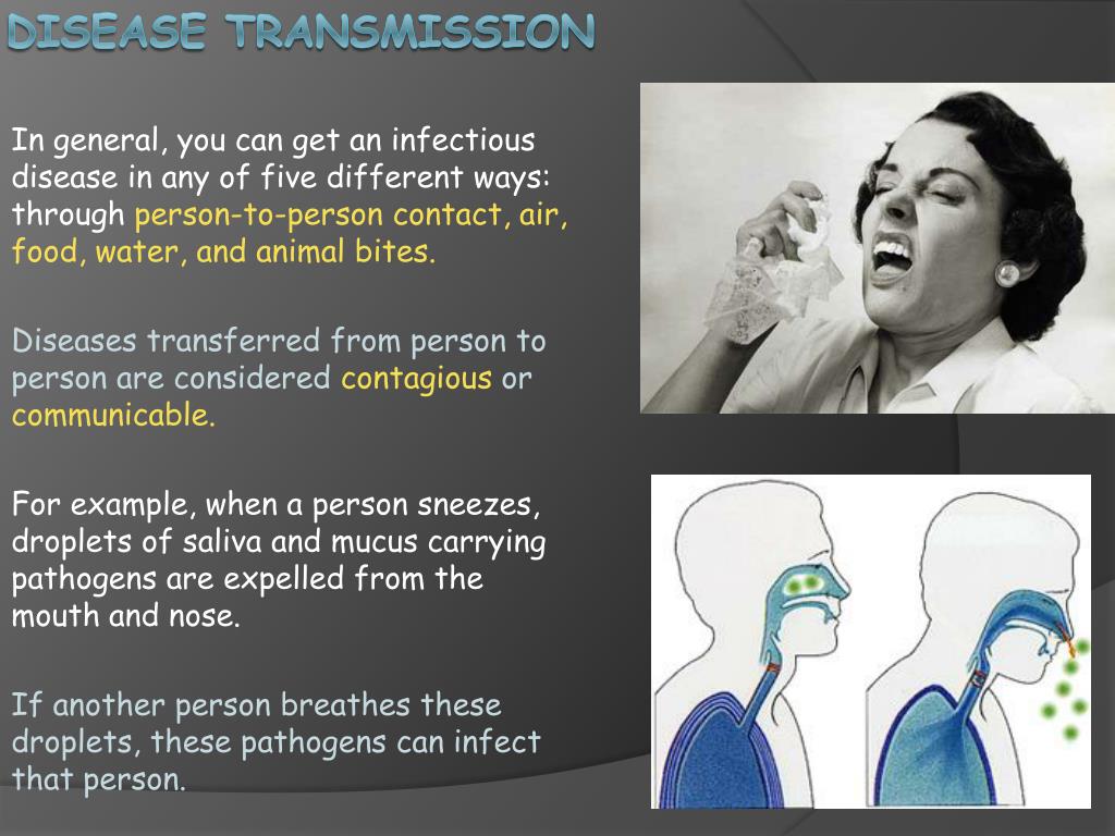 PPT - Biology 40.3 Disease Transmission and prevention PowerPoint ...