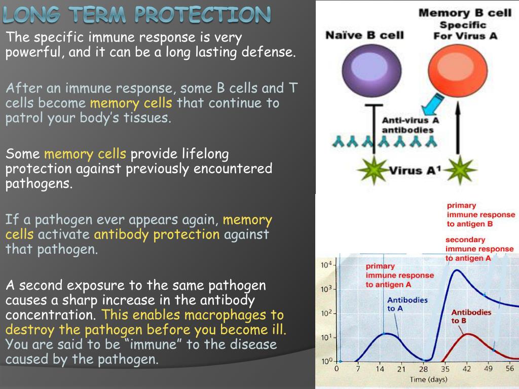 PPT - Biology 40.3 Disease Transmission and prevention PowerPoint ...