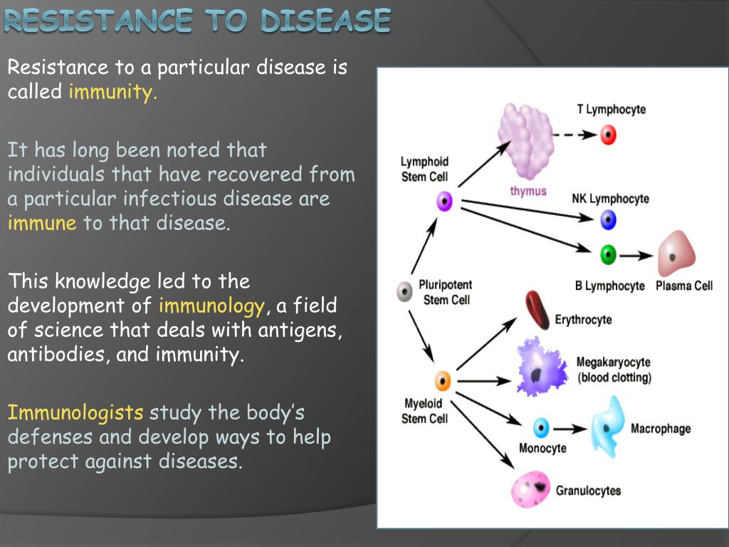 PPT - Biology 40.3 Disease Transmission and prevention PowerPoint ...