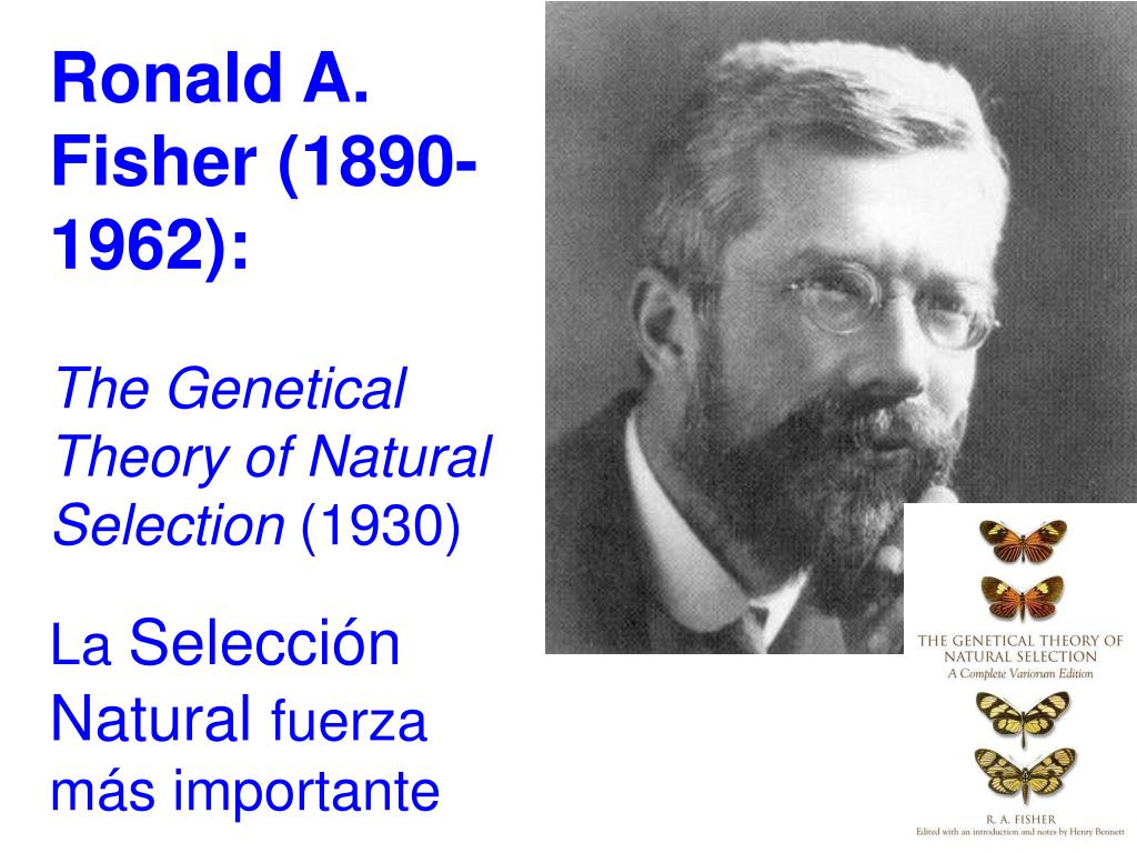 PPT - GENETICA DE POBLACIONES agosto 2013 Luis E. Eguiarte ( luis ...