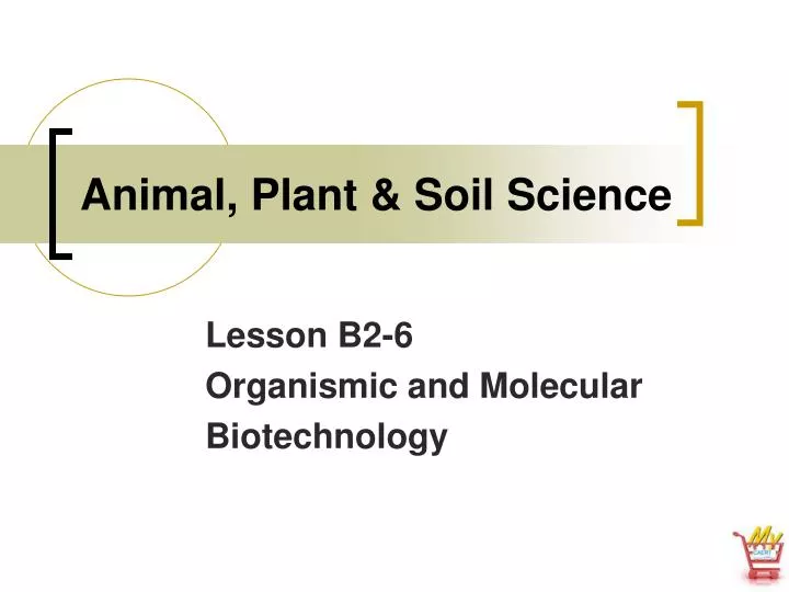 PPT - Animal, Plant & Soil Science PowerPoint Presentation, free ...