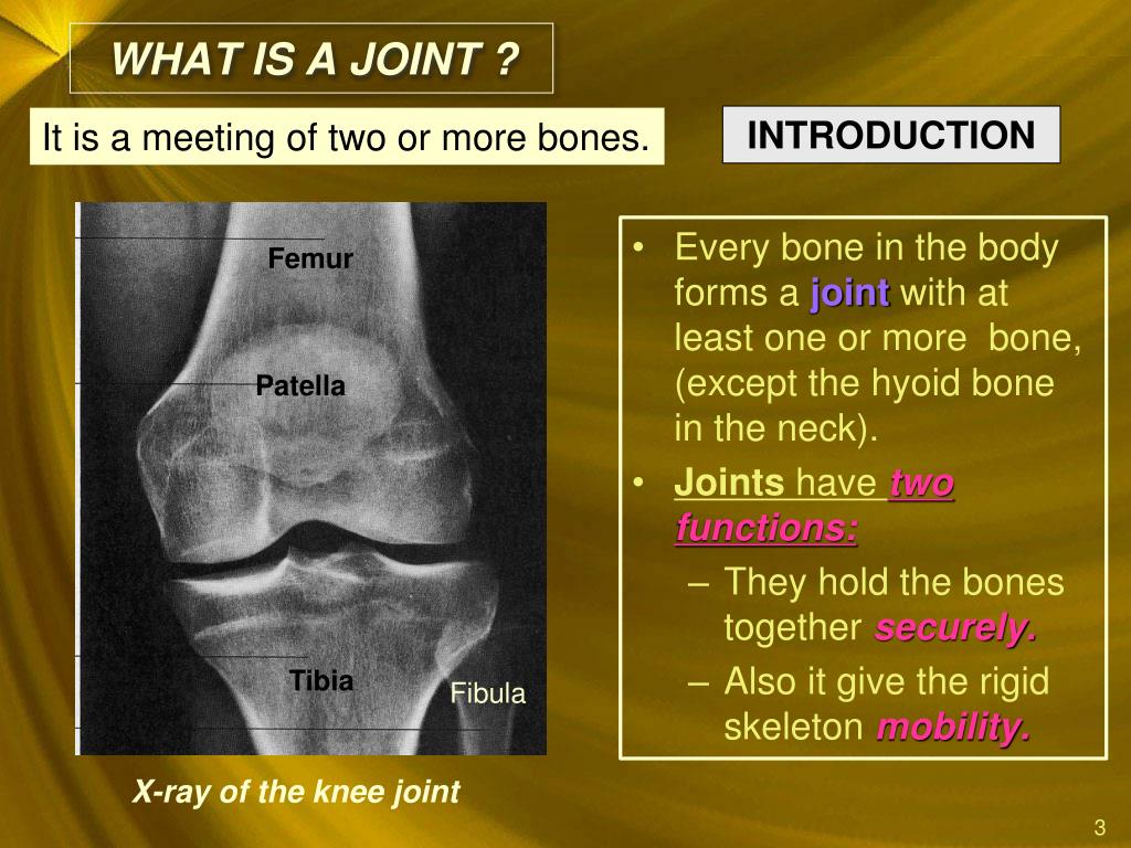 PPT - JOINTS & MOVEMENTS PowerPoint Presentation, free download - ID ... PPT - JOINTS & MOVEMENTS PowerPoint Presentation, free download - ID ...