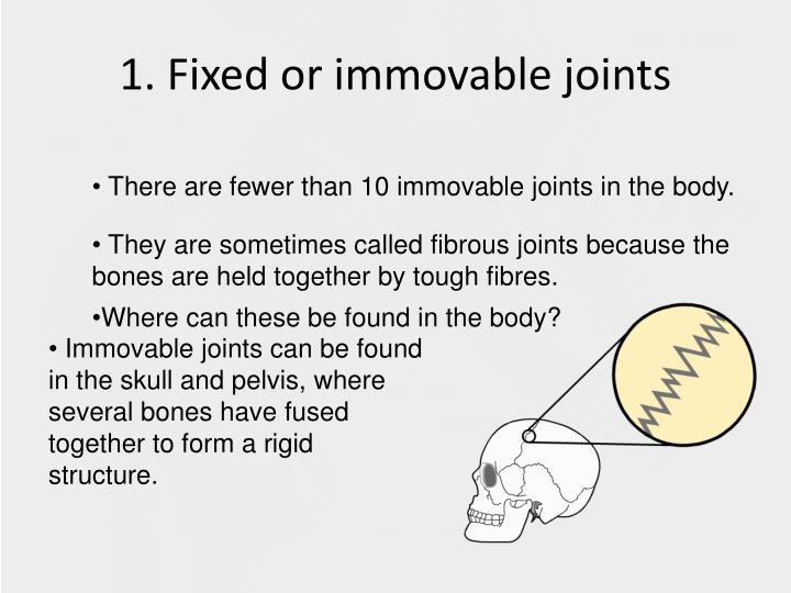 PPT - Unit 1: Types of Joints PowerPoint Presentation - ID:2436374