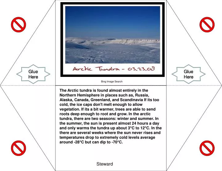 PPT - Bing Image Search PowerPoint Presentation, free download - ID:2436547