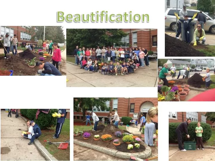 PPT - Beautification PowerPoint Presentation, free download - ID:2438029