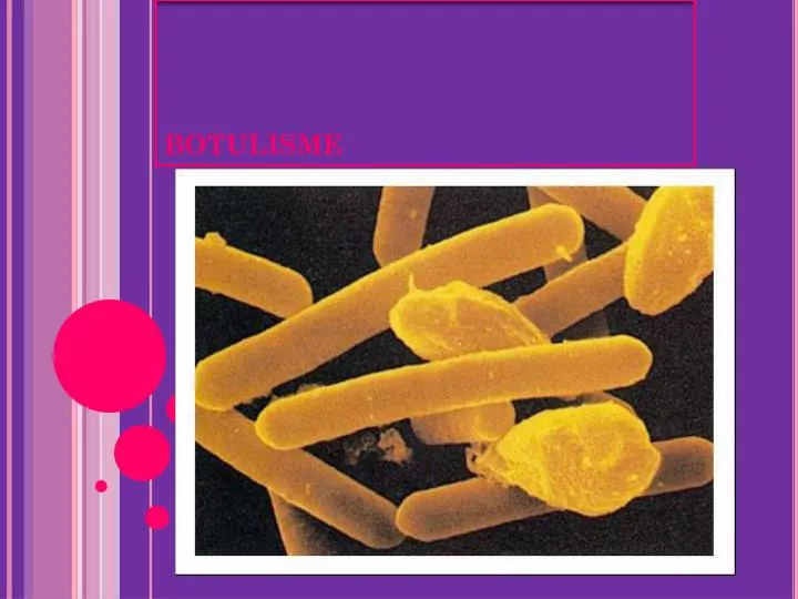 PPT - botulisme PowerPoint Presentation, free download - ID:2438058