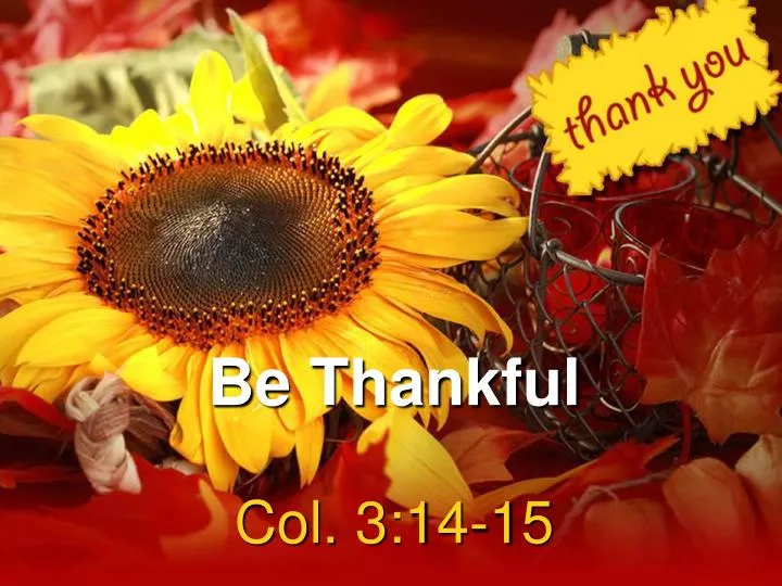 PPT - Be Thankful PowerPoint Presentation, free download - ID:2438118