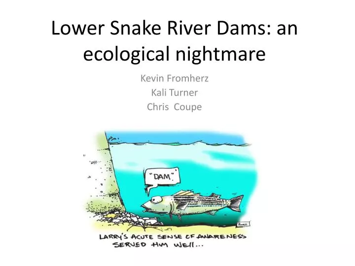 PPT - Lower Snake River Dams: an ecological nightmare PowerPoint ...